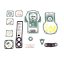 Seal kit for Simms Minimec 4 cylinder diesel injection pumps - Diesel ...