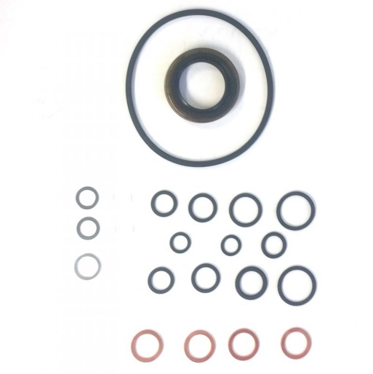 Denso HP2 diesel injection pump seal kit - Diesel Injection Pumps