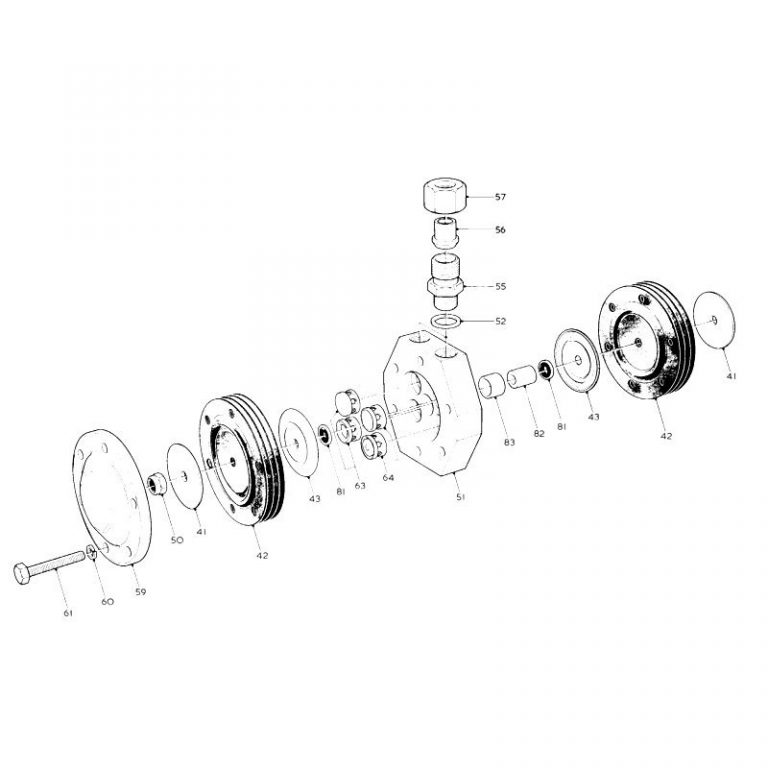 Lift pump diaphragms for Simms CAV PLD, PLS and PPS pumps - Diesel ...