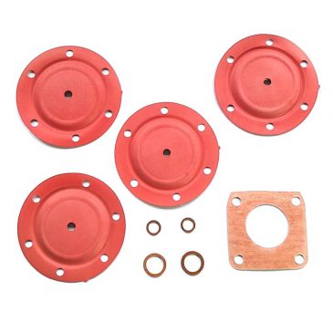 Lift pump repair kit for Simms CAV PLD pumps - Diesel Injection Pumps