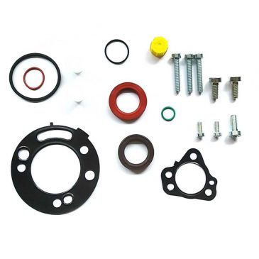 Seal repair kit for Delphi DFP6 fuel pumps for PSA - Diesel Injection Pumps