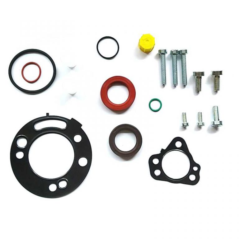 Seal repair kit for Delphi DFP6 fuel pumps for PSA - Diesel Injection Pumps